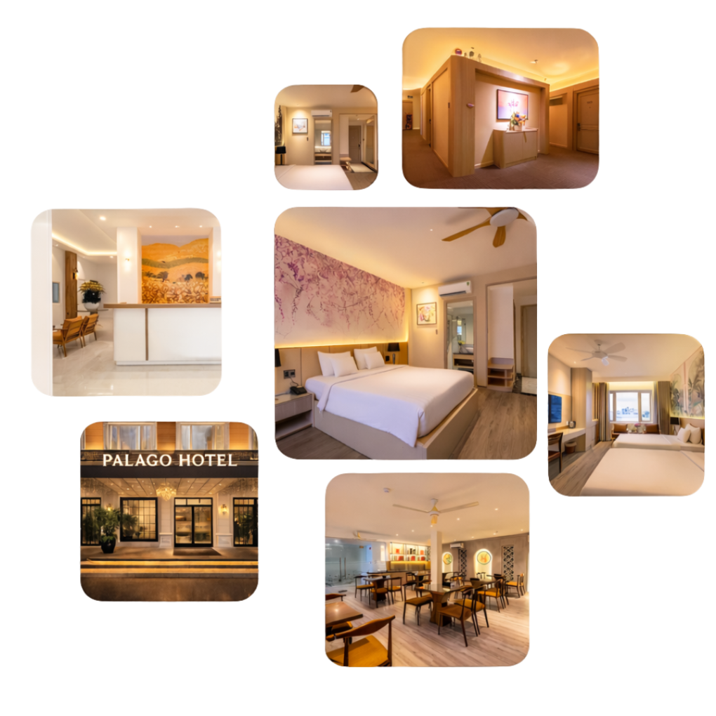 Palago's Story - Palago Boutique Hotel Saigon, Ho Chi Minh | Official ...
